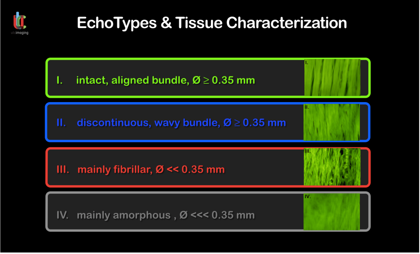 5 Remarkable UTC Benefits to Treat Tendinopathy in Your Patients - UTC ...